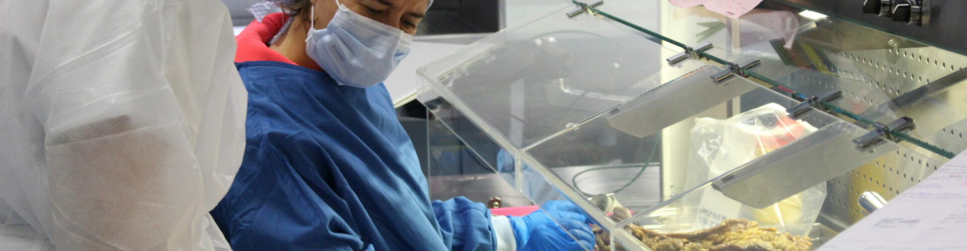 Anatomopathologie - Centre hospitalier de Valence